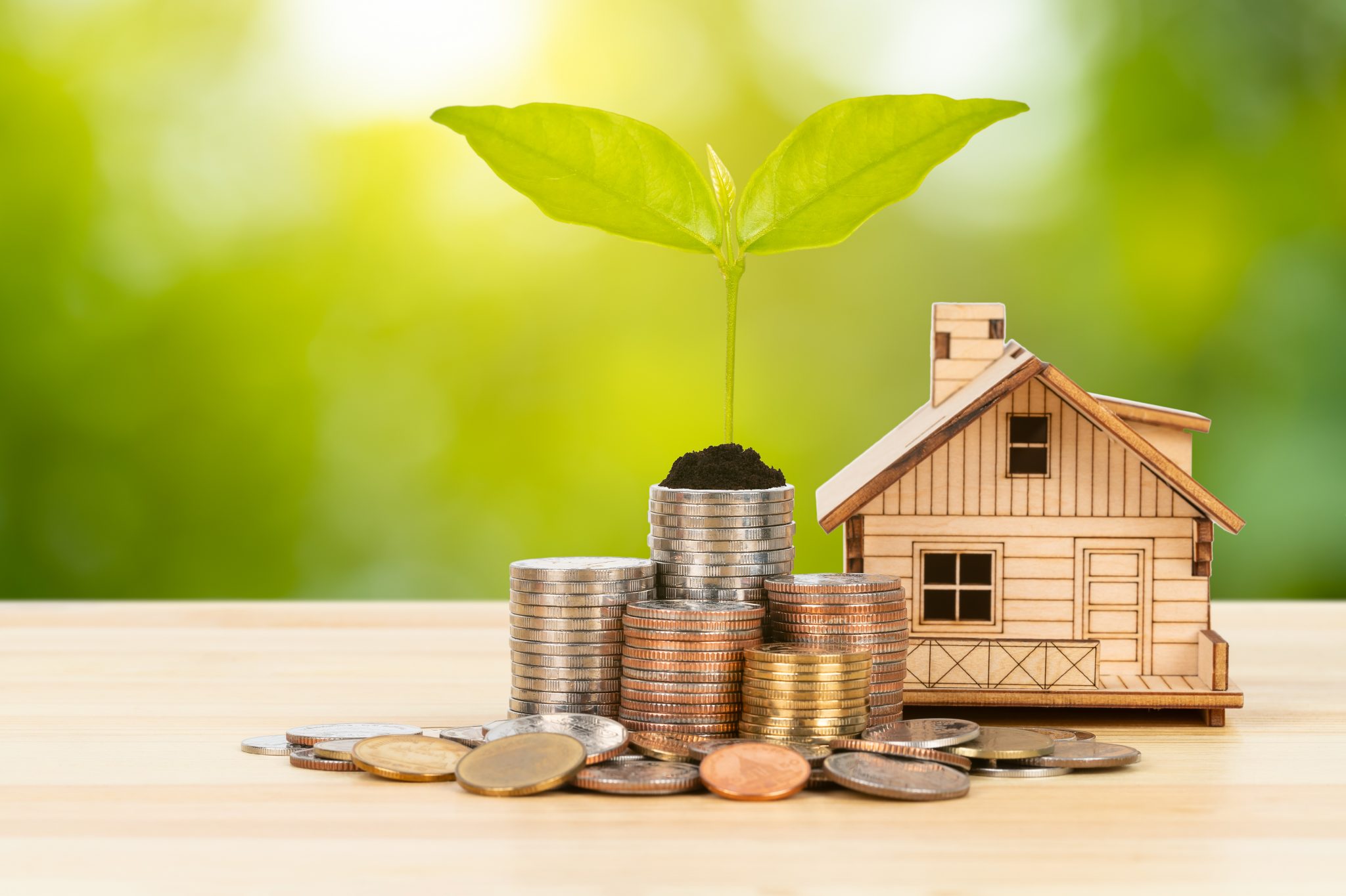 Investir en 2023 : l’immobilier “vert” - Gest'in